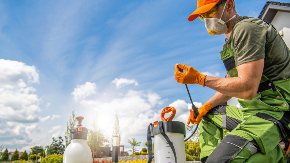 10-Step Guide to Start a Pest Control Business - Piratebrowser.com